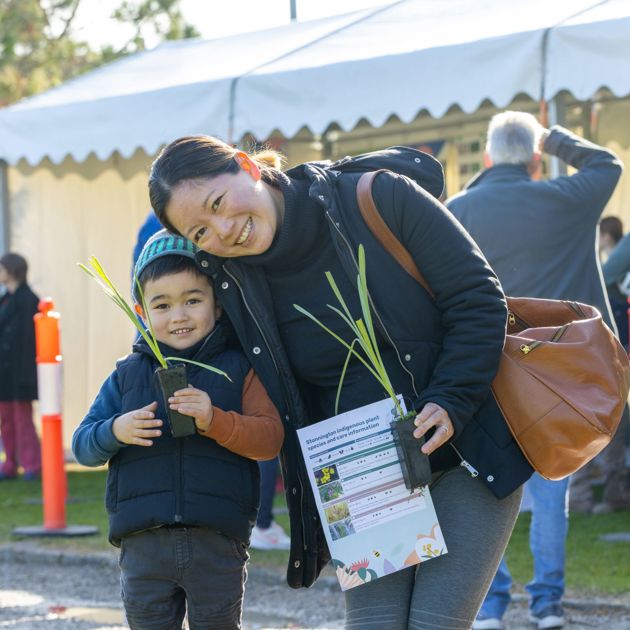 Home - Prahran Square